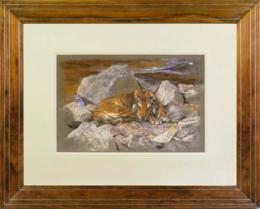 Animal Paintings | Mark Mitchell